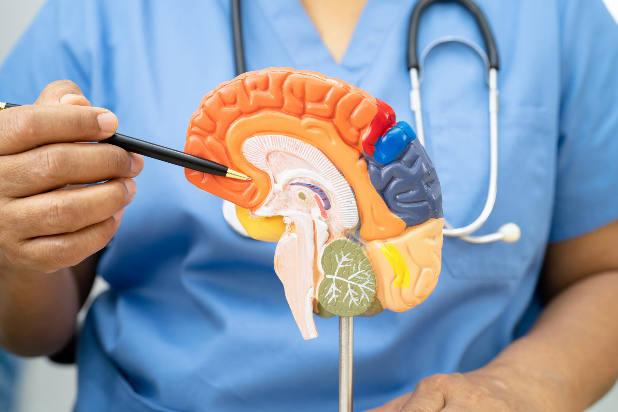 Stem Cell Therapy For Brain Damage | CRC