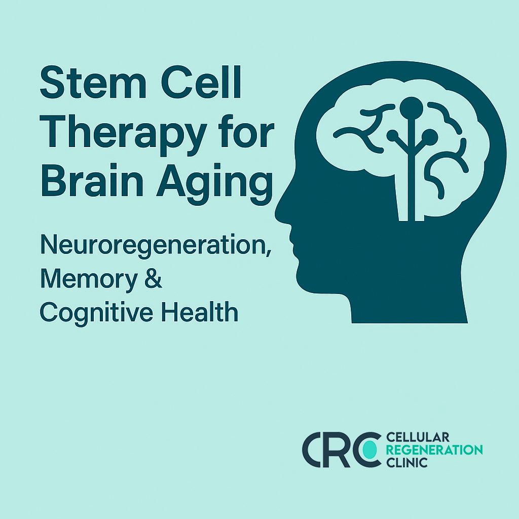 Stem Cell Therapy for Brain Aging: Cognitive Health & Memory Support ...